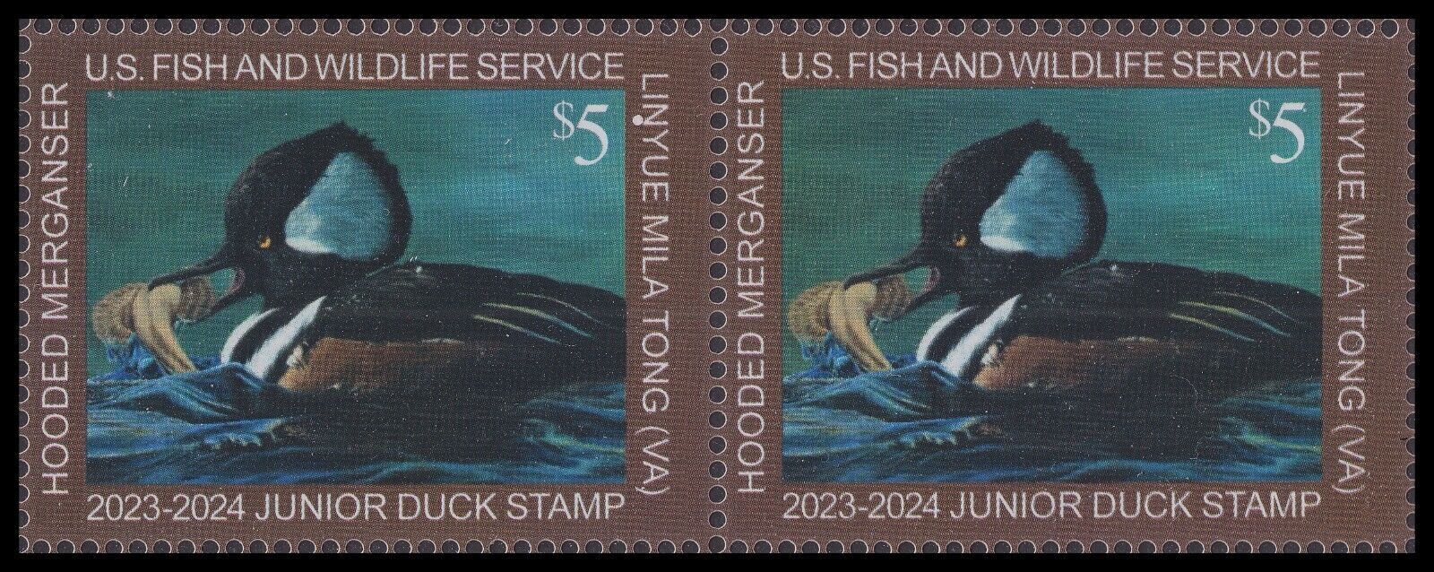 US JDS31 Junior Duck Hooded Merganser $5 horz pair (2 stamps) MNH 2023 ...