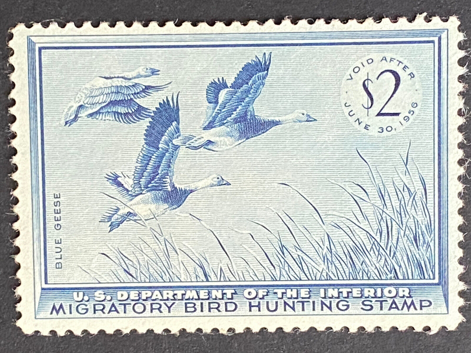 US Stamps-SC# RW 22 - Duck Stamp - MNH - CV $85.00 | United States ...