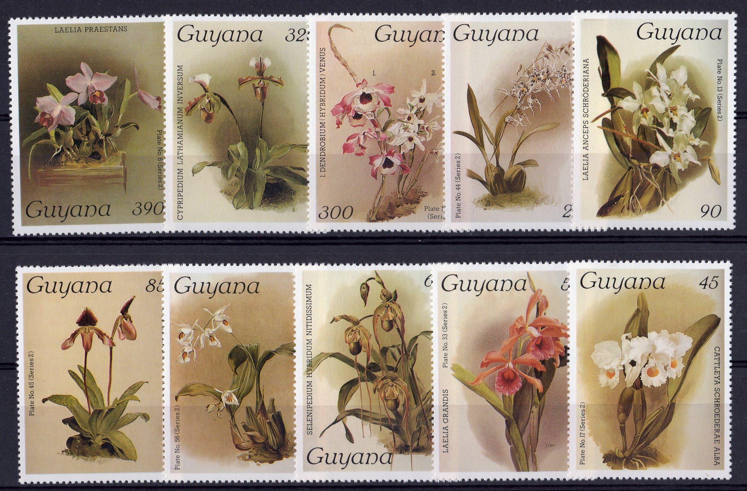 Guyana ORCHIDS Set (10 values) MNH #1872/1881 | Central & South America ...