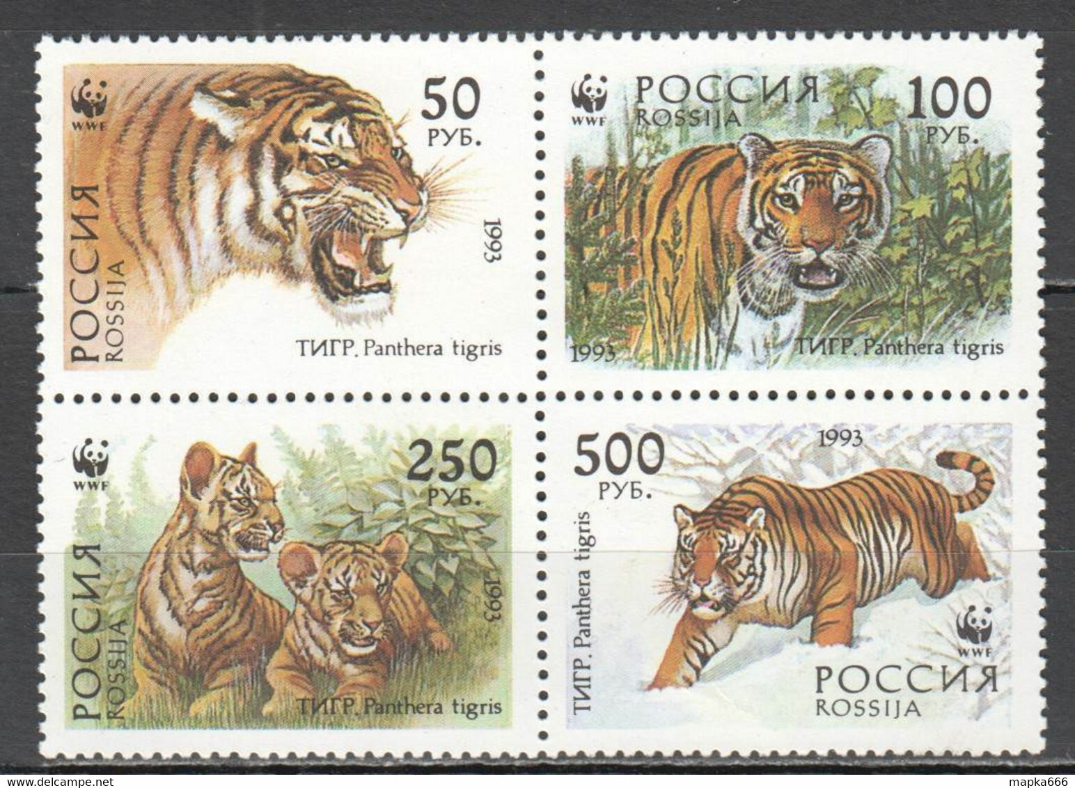 1993 Russia Fauna Wwf Tigers Wild Cats Animals #6178-6181 Set ** Tk004 ...
