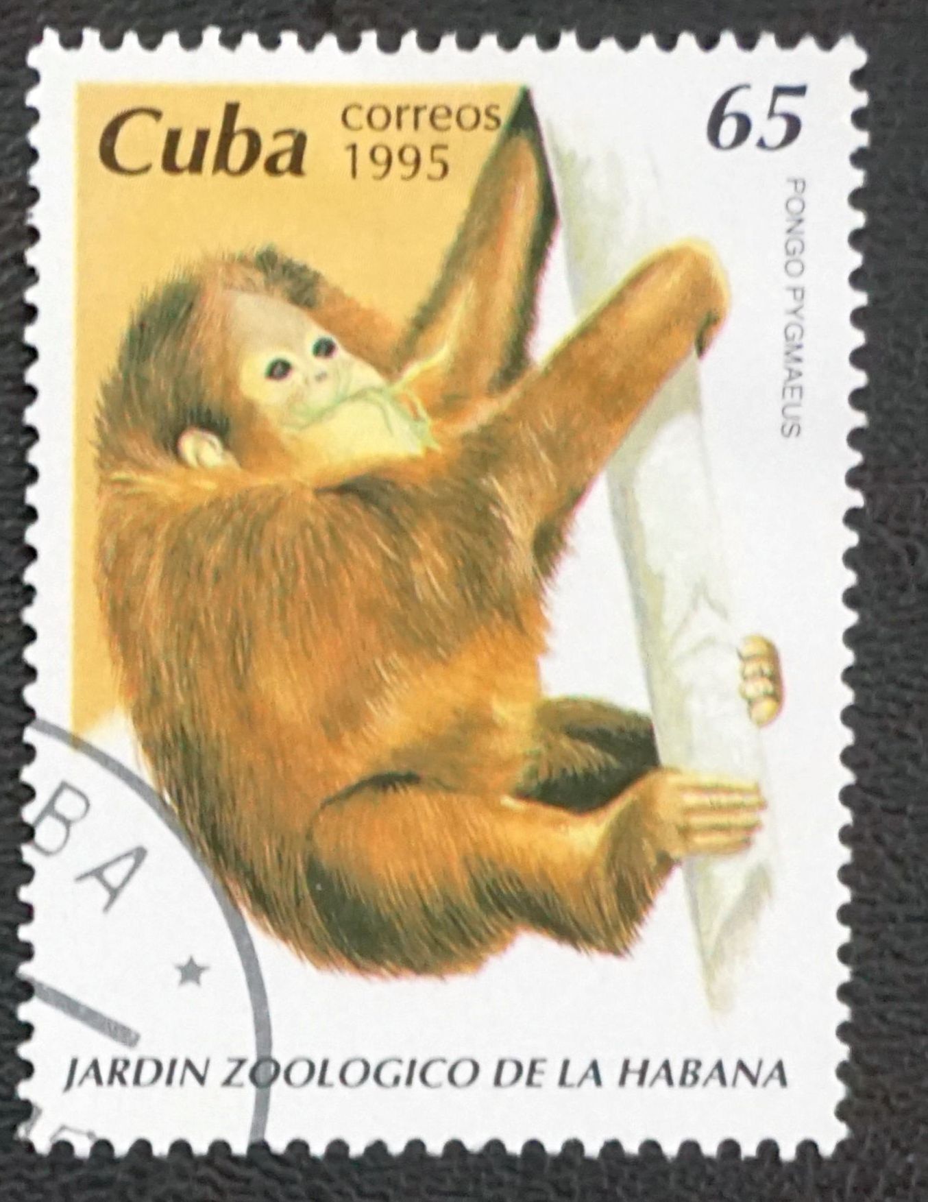 CUBA Sc# 3676 NATIONAL ZOO WILD ANIMALS monkey 65c 1995 used cto ...