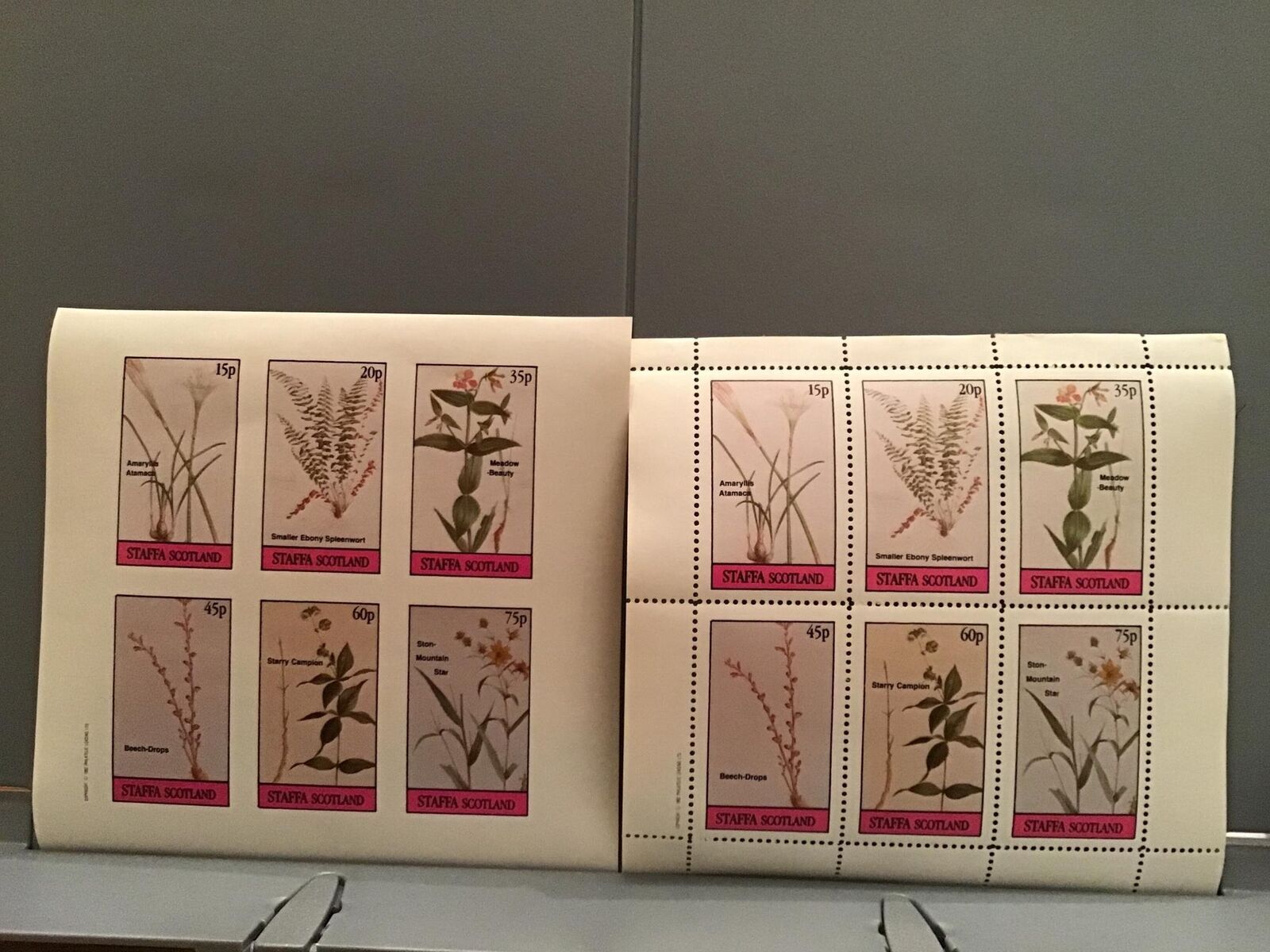 Staffa Scotland plants flowers Beech Drops MNH stamps R24079 | Great ...