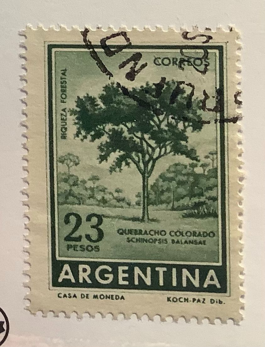 Argentina 1965 Scott 701 used - 23p, tree, Red Quebracho, Schinopsis ...