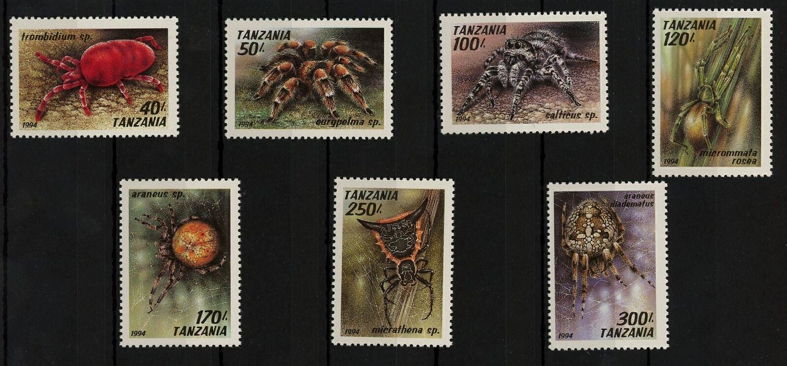 Tanzania Spider Tarantula Insect Arachnids Serie Set of 7 Stamps Mint ...