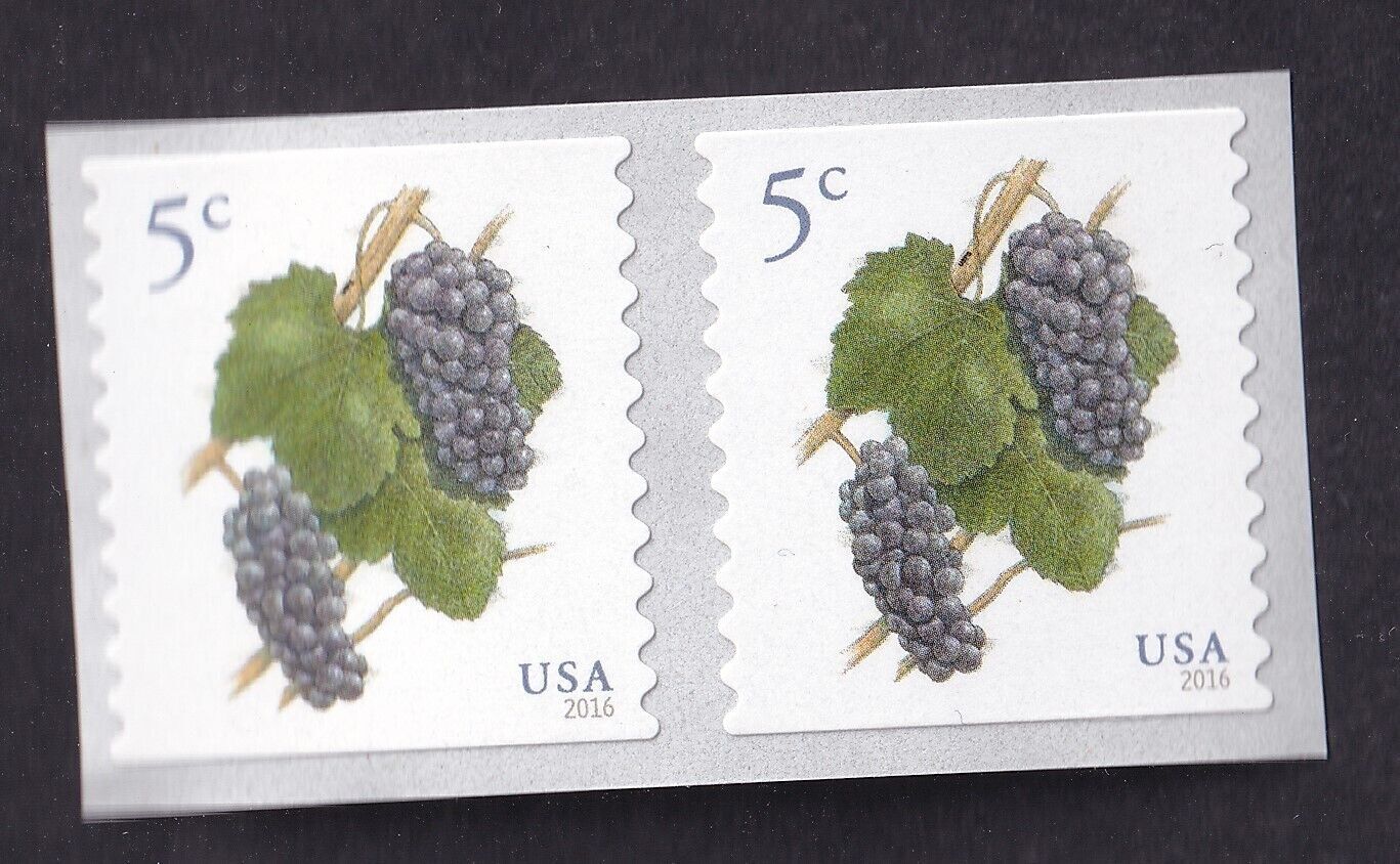 Scott #5038 Grapes Coil Pair of Stamps - MNH | United States, General ...
