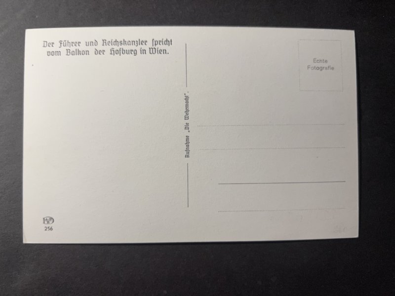 Mint Nazi Germany RPPC Postcard Swatstikas Adolf Hitler Rally Fuhrer ...