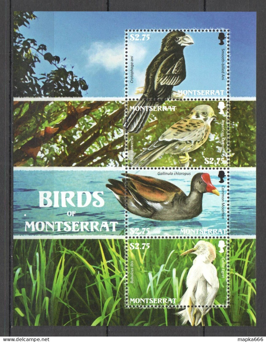 N0936 Montserrat Birds Of Montserrat Fauna 1Kb Mnh | Caribbean ...