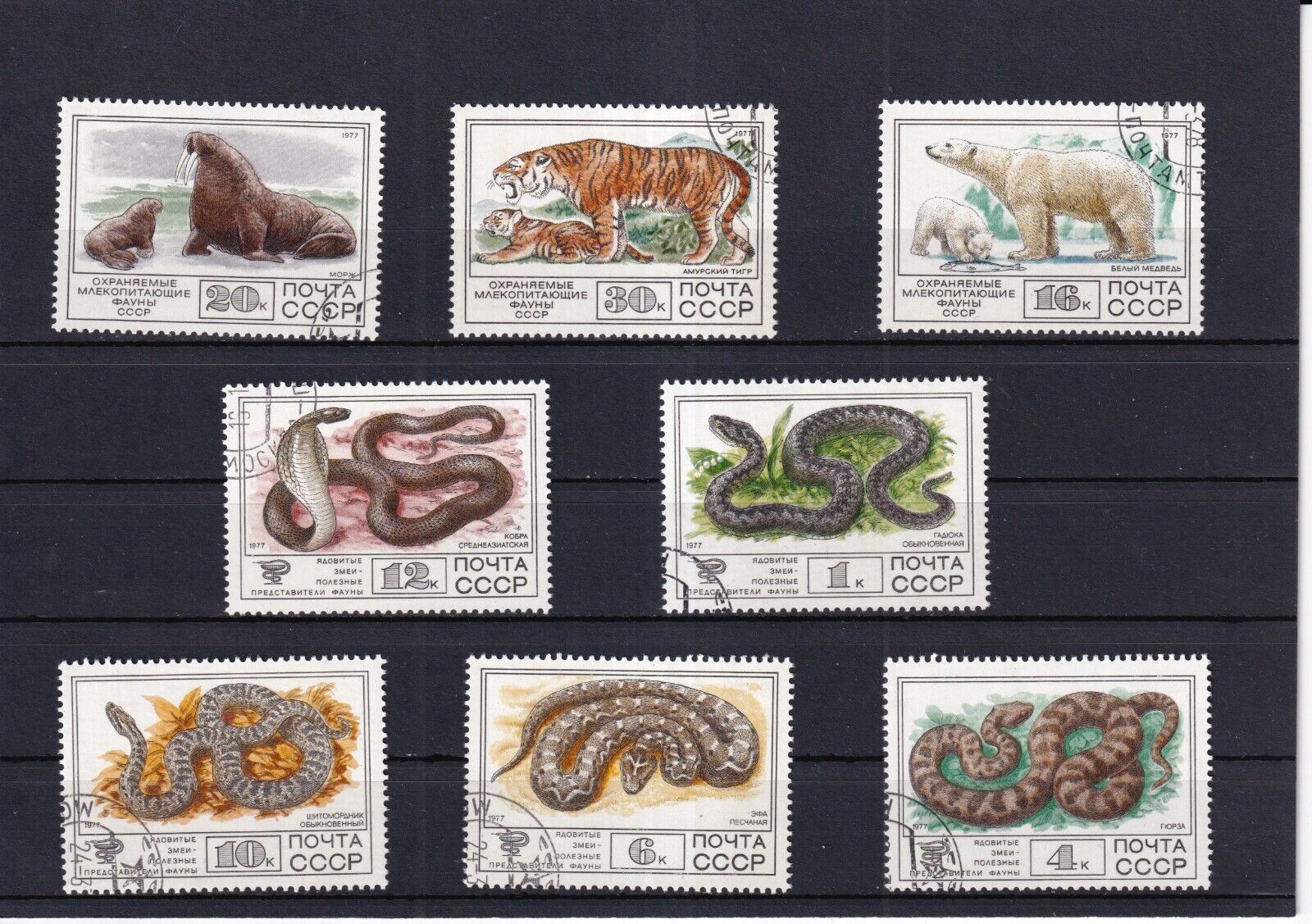 SA30g Russia USSR 1977 Fauna - Bear, Tiger, Snakes, Seal used stamps ...