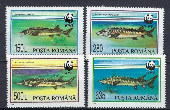 Romania 3954-57 MNH 1994 Fish (ak2323) | Europe - Romania, General ...