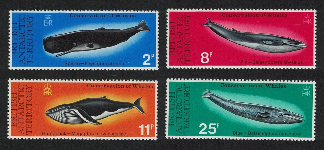 BAT Whale Conservation 4v 1977 MNH SG#79-82 | Worldwide - Antarctica ...