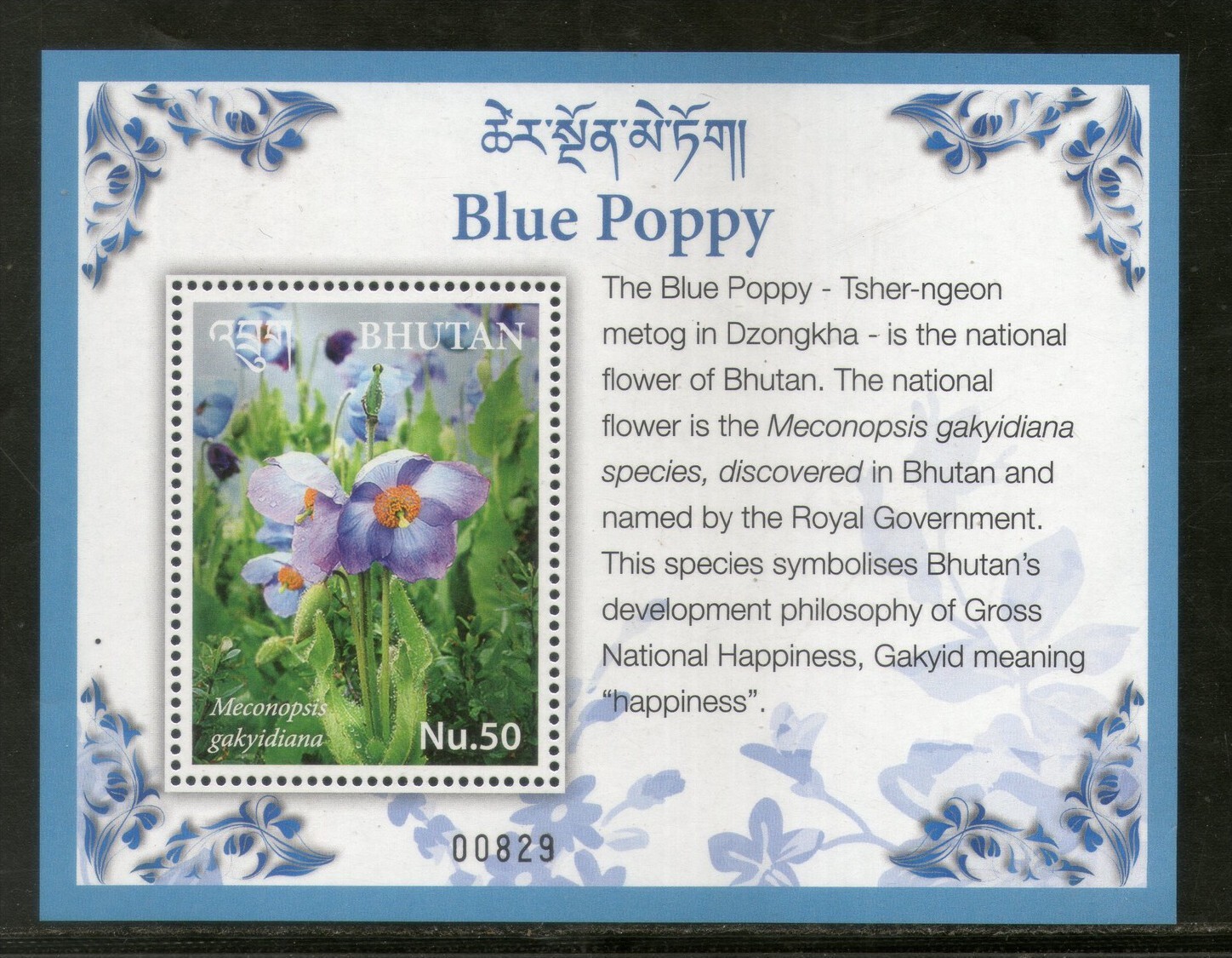 National Flower Of Bhutan | Best Flower Site