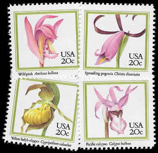 PCBstamps US #2076-2079 Sgls 80c(4x20c)Orchids, MNH, (1) | United ... PCBstamps US #2076-2079 Sgls 80c(4x20c)Orchids, MNH, (1) | United ...