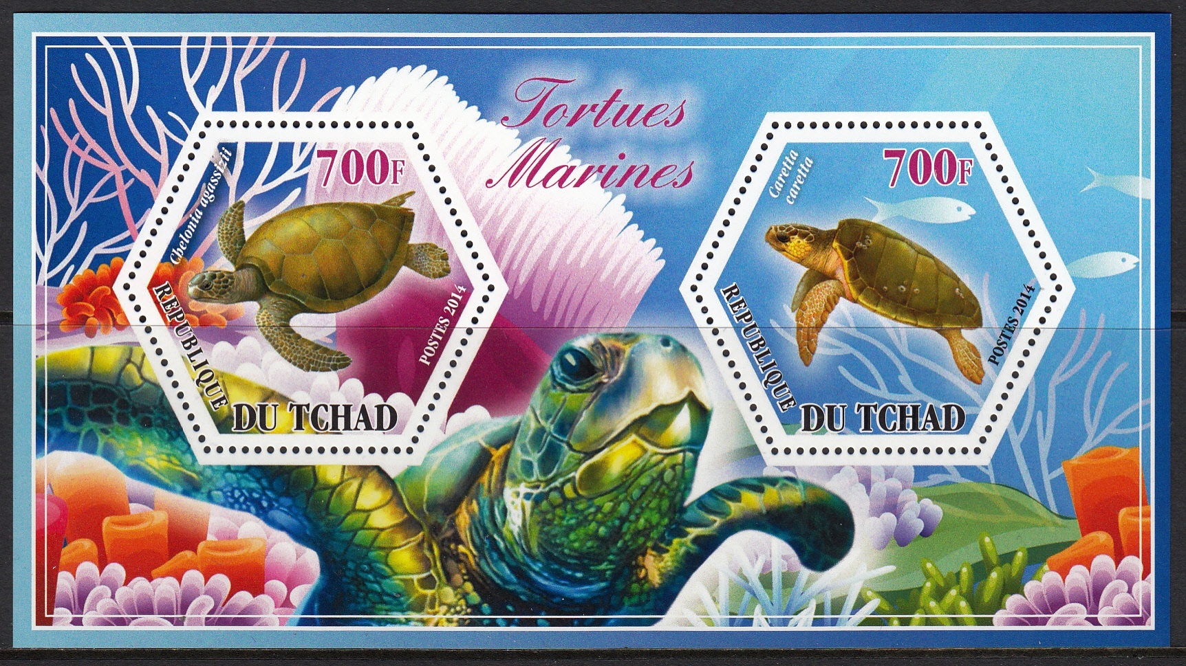 Tchad Chad 2014 Turtles Reptiles Tortues Schildkröten Tartarughe [#A279 ...