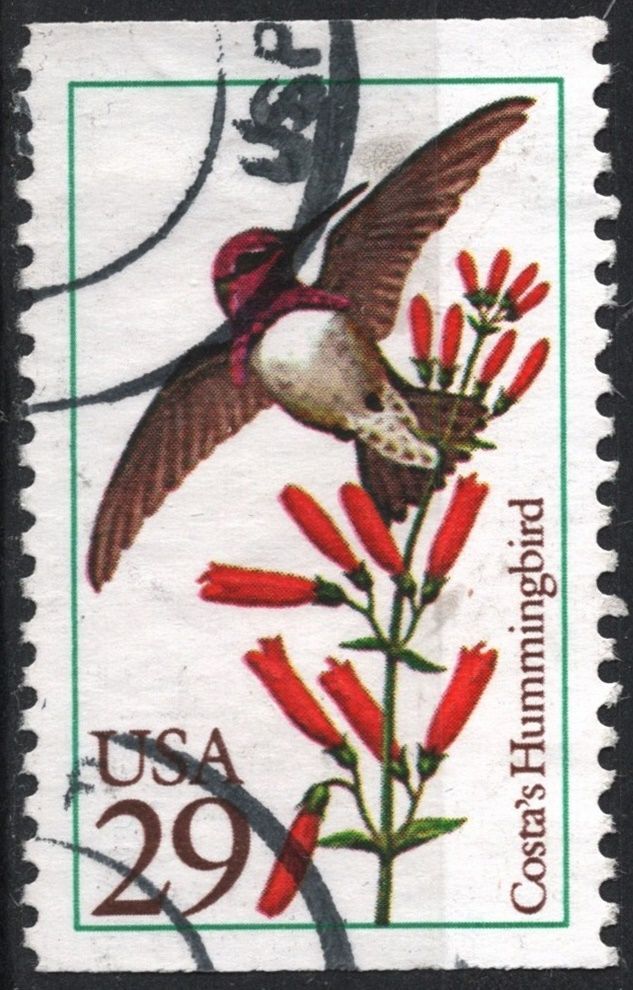 SC#2644 29¢ Hummingbirds: Costa's Hummingbird Booklet Single (1992 ...
