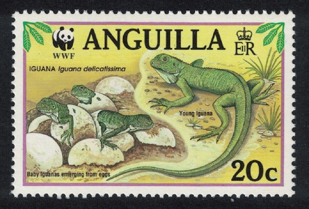 Anguilla WWF West Indian Iguana Hatching 1997 MNH SC#968 a SG#1004 MI ...