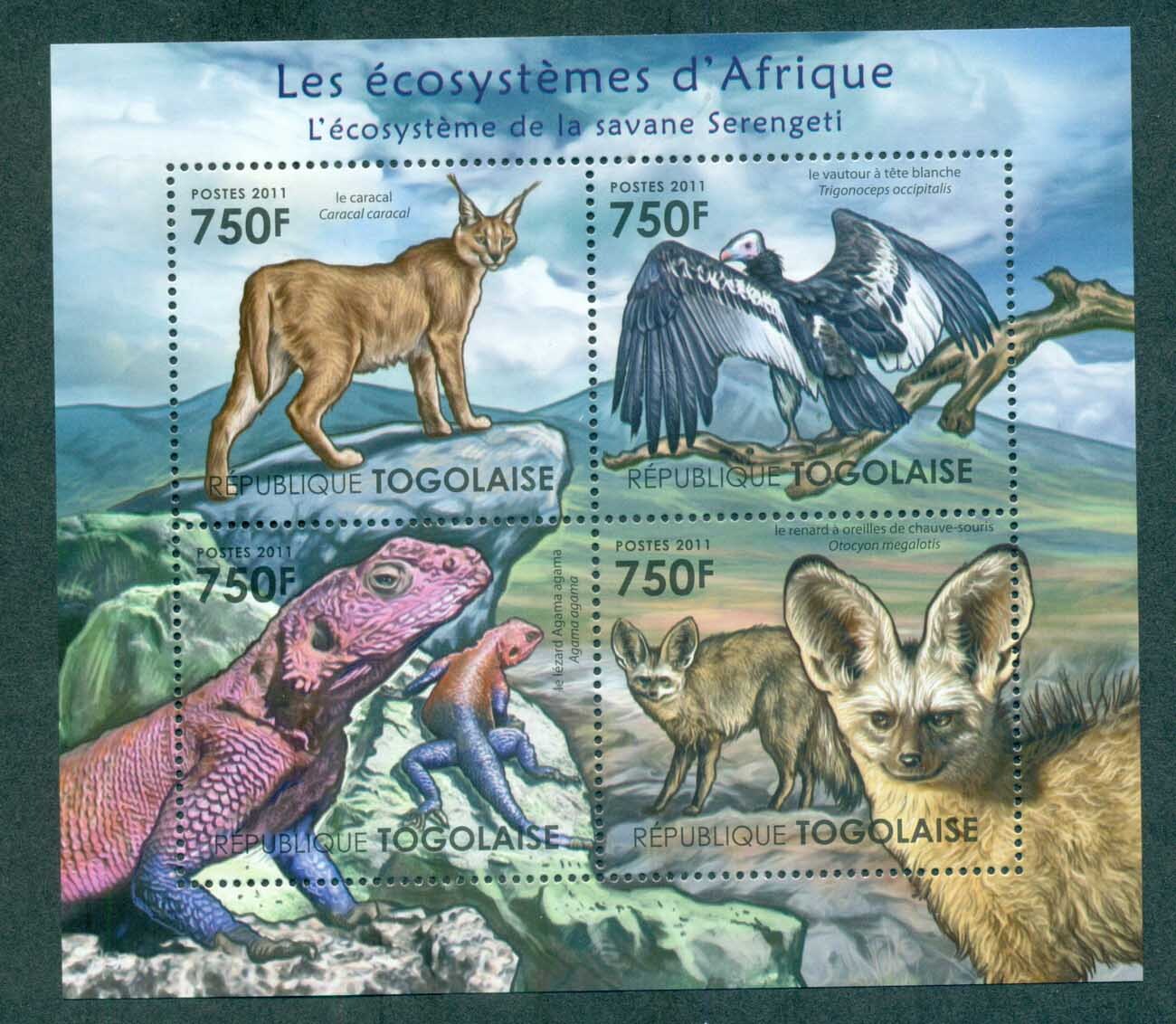 Togo 2011 African Wildlife, Bird, Vulture, Caracal, Lizard, Fox MS MUH ...
