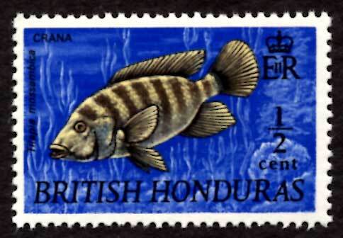 British Honduras 1969-72 Crana Fish ½c Scott.234 MNH | Central & South ...