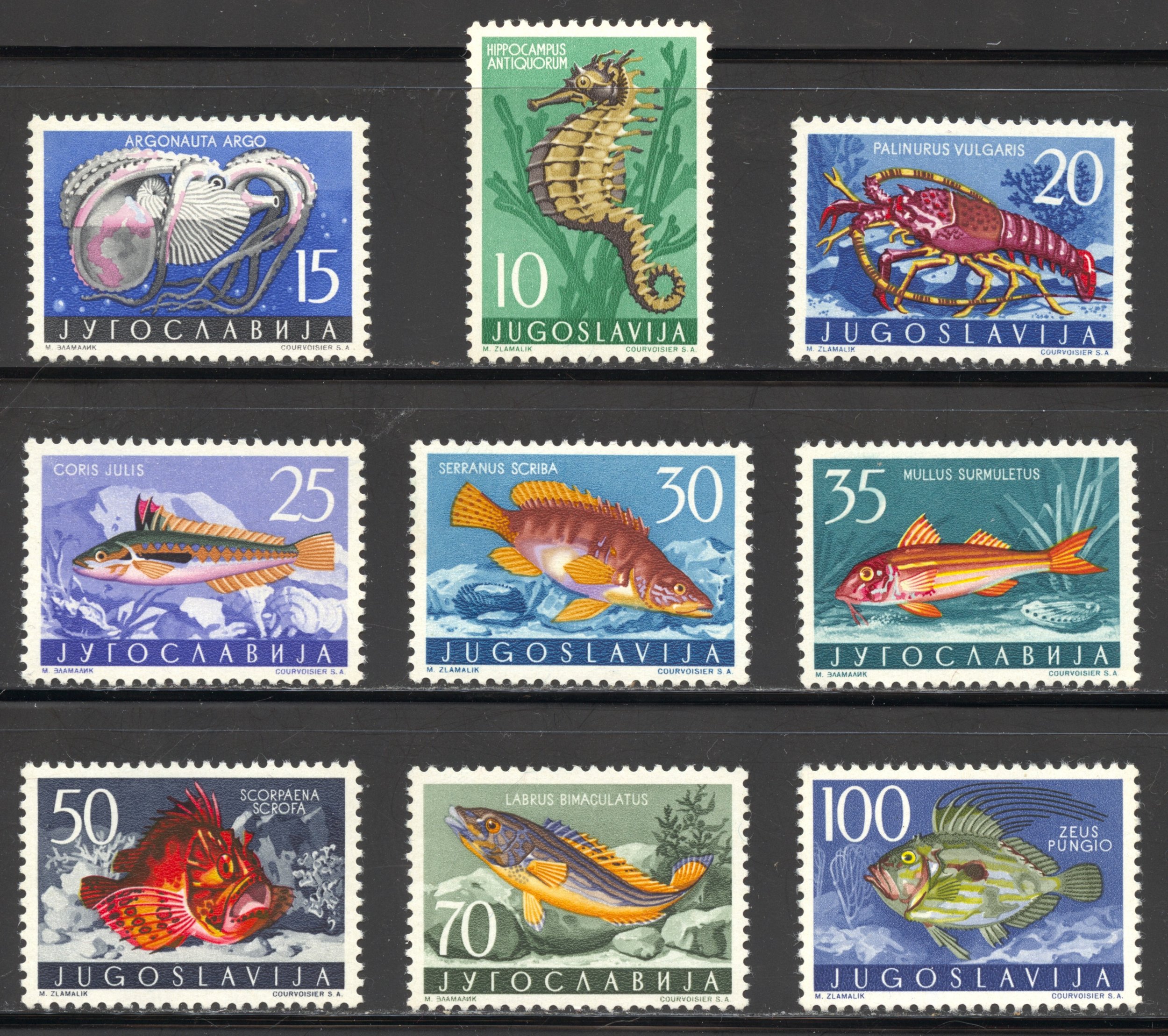 Yugoslavia Scott 452-460 MNHOG -1956 Sea Creatures in Natural Colors ...