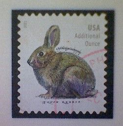 United States, Scott #5544, used(o), 2021 definitive, Brush Rabbit, (20 ...
