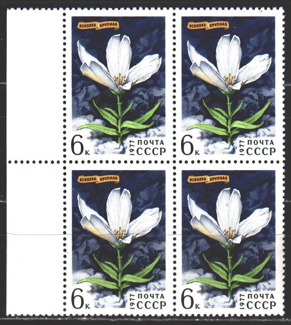 Soviet Union. 1977. Quart 4645. Large yaskolka, flowers of Siberian ...