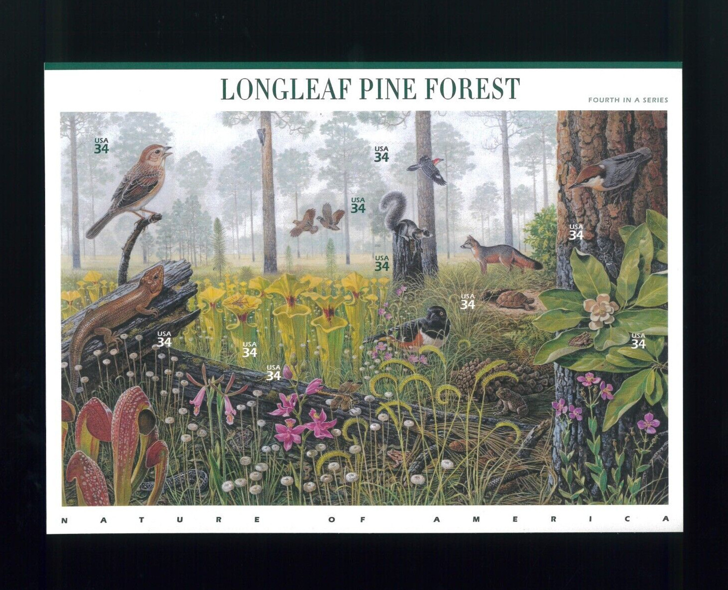 United States 34¢ Longleaf Pine Forest Postage Stamp #3611 MNH Full ...