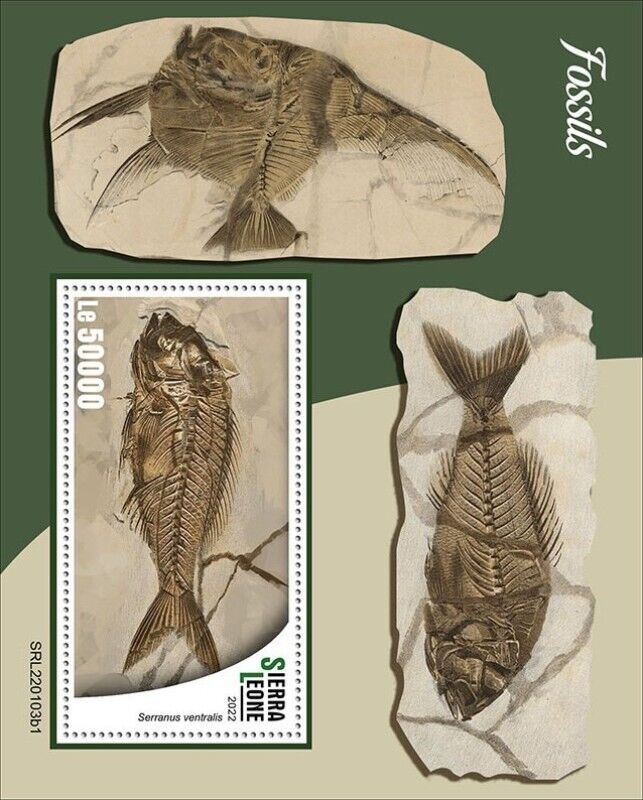 Sierra Leone - 2022 Fossils, Sea Bass - Stamp Souvenir Sheet ...