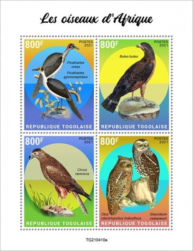 Togo - 2021 African Birds, Common Buzzard, Owl - 4 Stamp Sheet ...