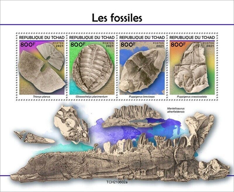 Chad - 2021 Fossils, Softshell Turtle, Sea Turtles - 4 Stamp Sheet ...