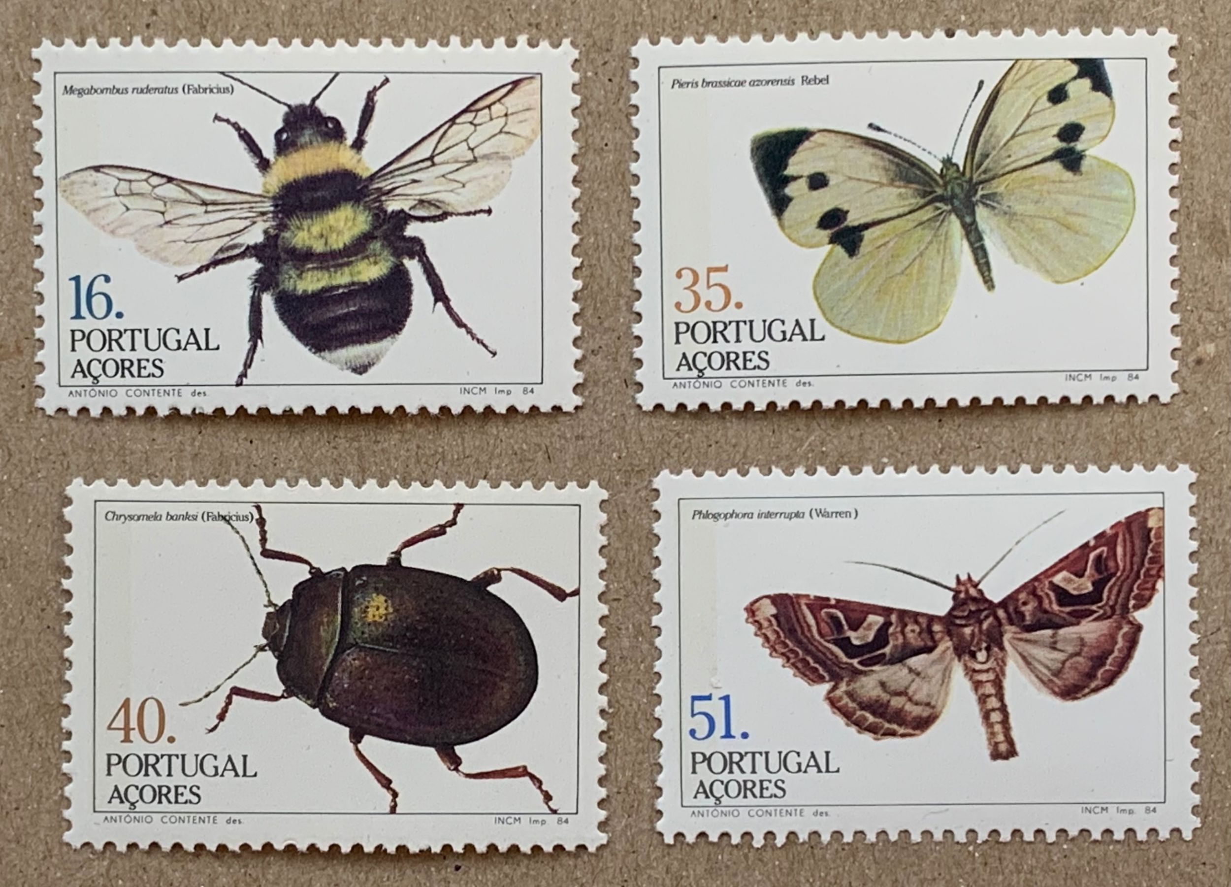 Azores 1984 Insects/ Butterflies, MNH. Scott 345-348, CV $4.30 | Europe ...