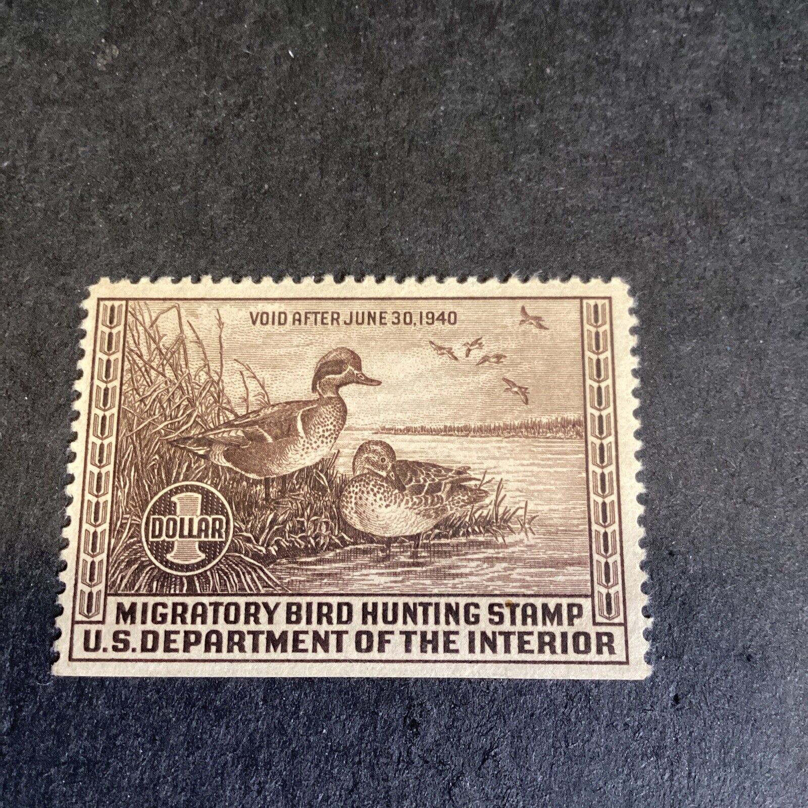 Scott RW6 1939 $1.00 Duck Stamp Mint OG NH -US | United States, Duck ...
