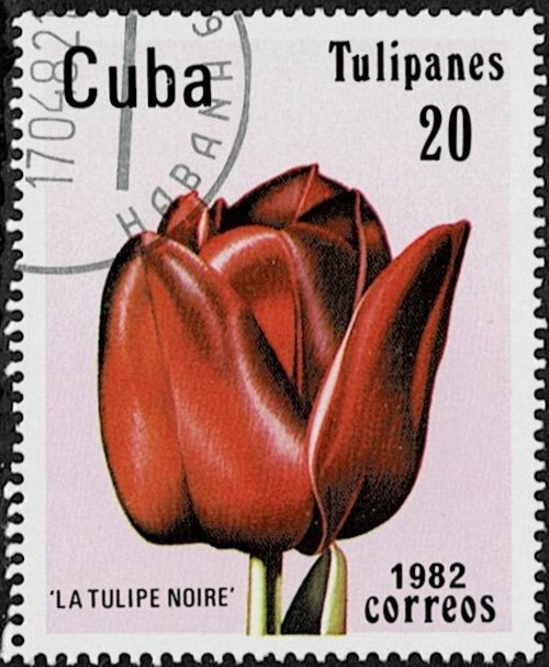 1982 Cuba Scott Catalog Number 2497 Used | Caribbean - Cuba, General ...