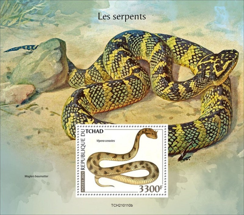 Chad - 2021 Snakes, Sahara Sand Viper - Stamp Souvenir Sheet ...
