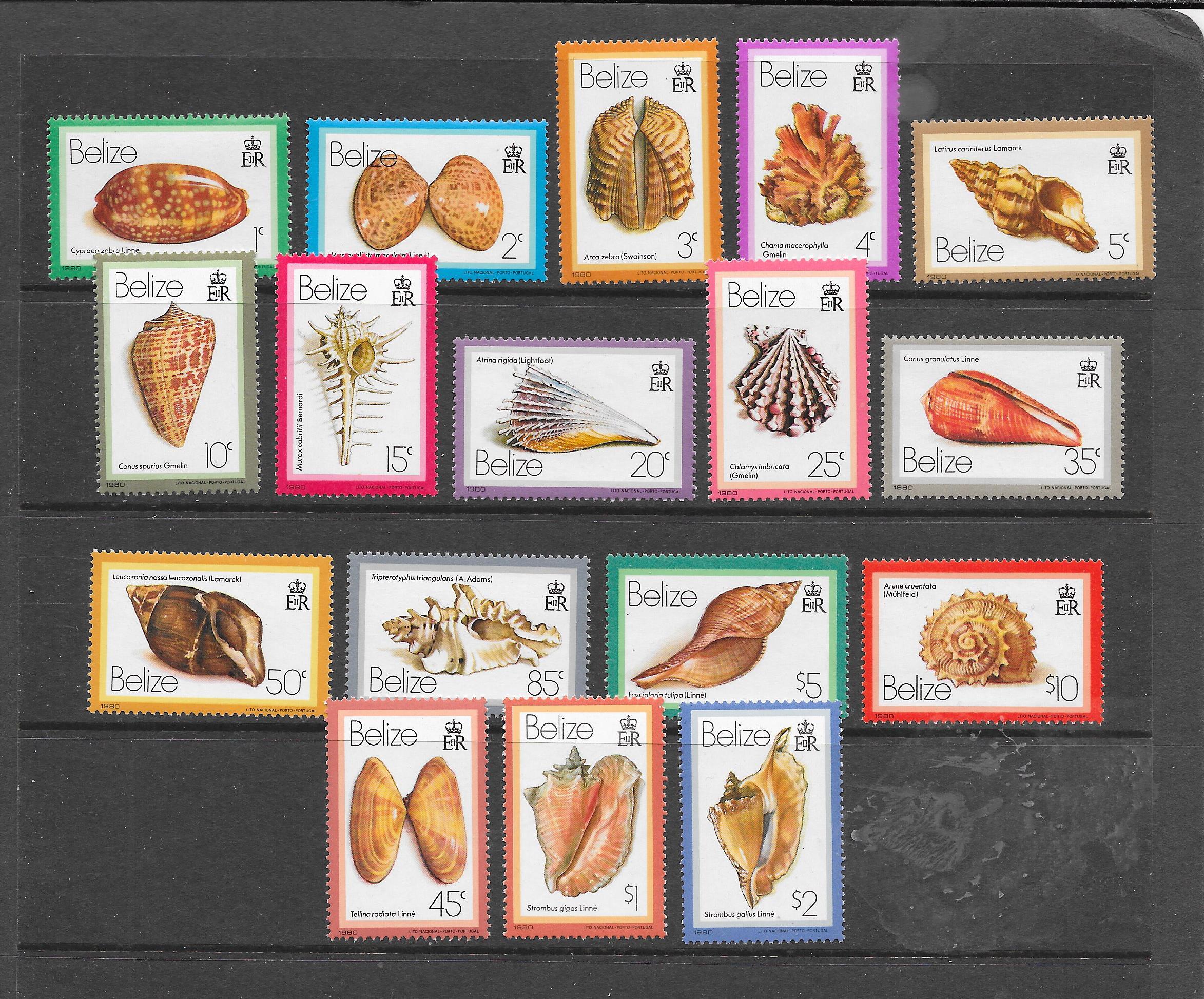 Shells - Belize #471-87 MNH | Central & South America - Belize, General ...