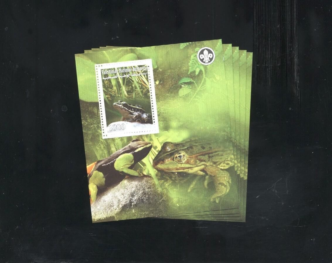 Palestine Sheet Cinderella Frogs Amphibians | Middle East - Palestinian ...