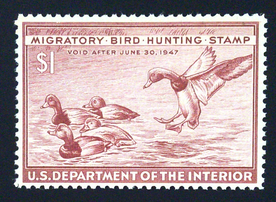 Scott #RW13 - F/VF - $1 Red Brown - Redhead Ducks - MNH - 1946 | United ...