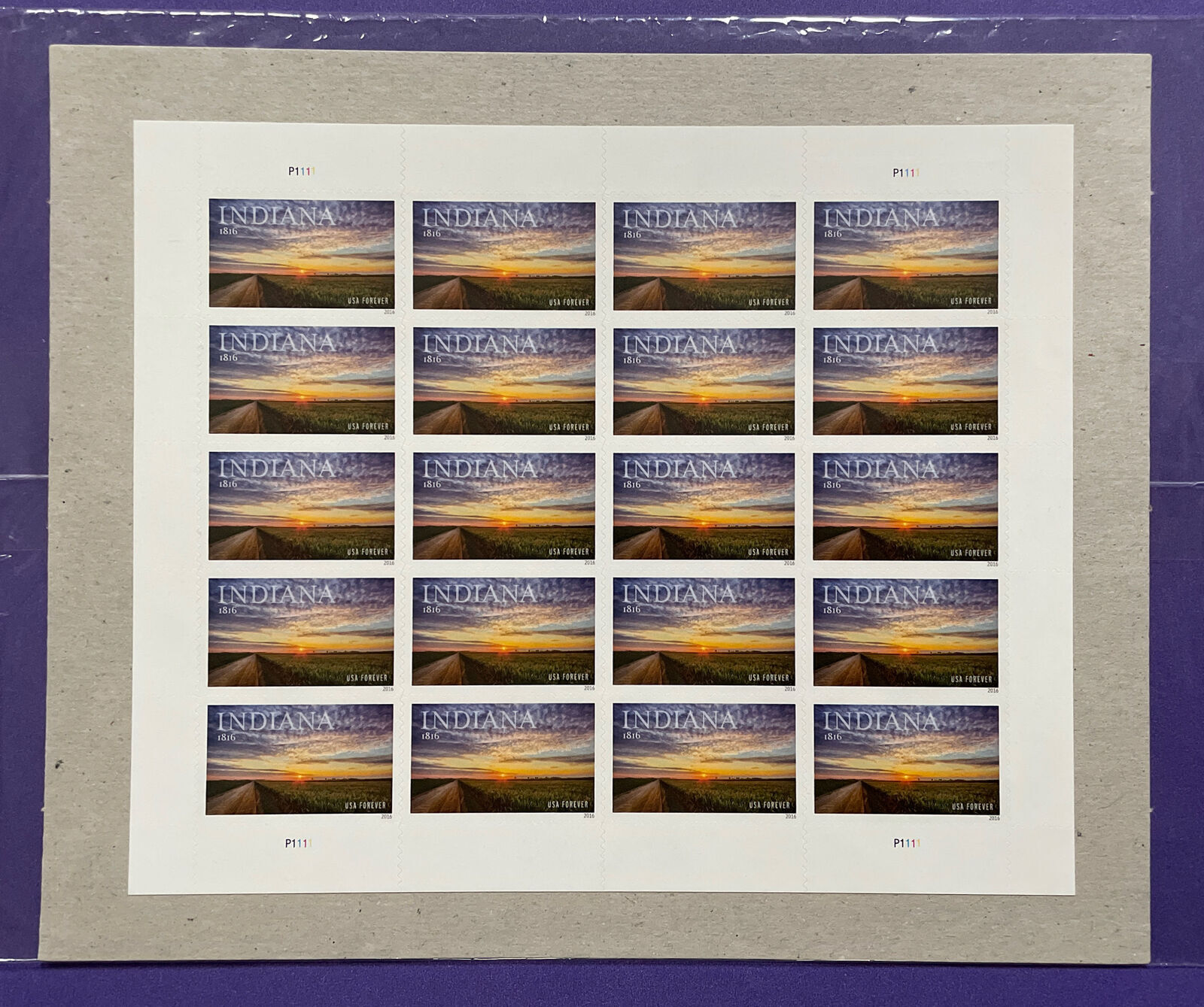 5091 INDIANA STATEHOOD Pane of 20 US Forever Stamps 2016 MNH USPS ...