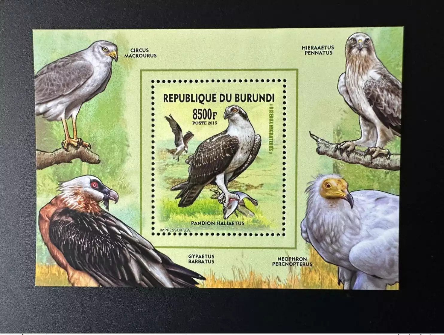 Burundi 2015 / 2016 Mi. Bl. B566 A Migratory Birds Bird of Raptors ...
