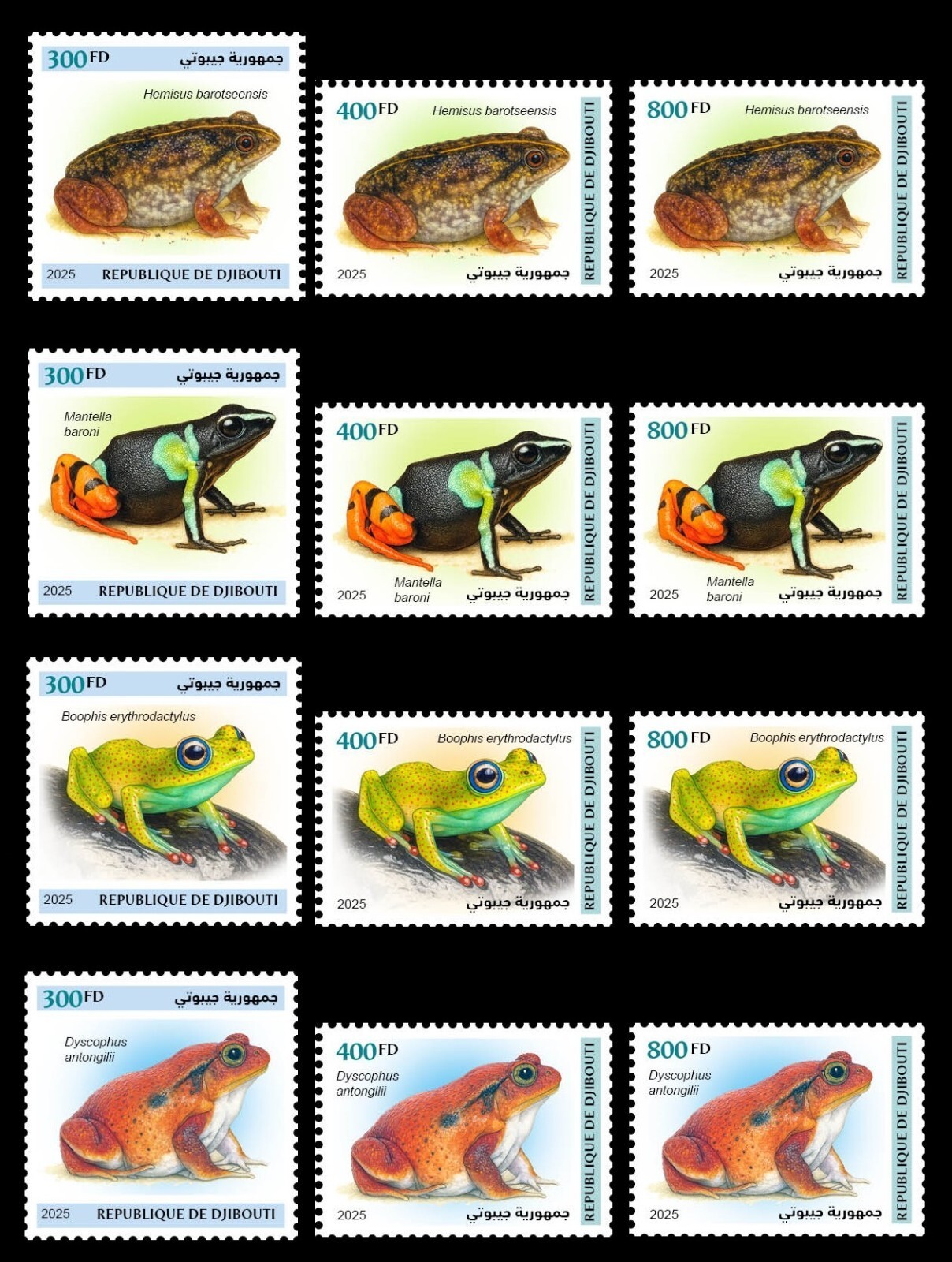 Djibouti 2025 SET 12v - Amphibians of Africa - Frog Frogs Frogs - Mnh ...
