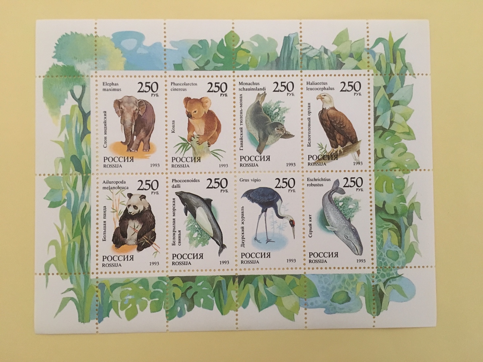 Russia 1993 M/S World Fauna Wild Animals Marine Mammals Elephant ...