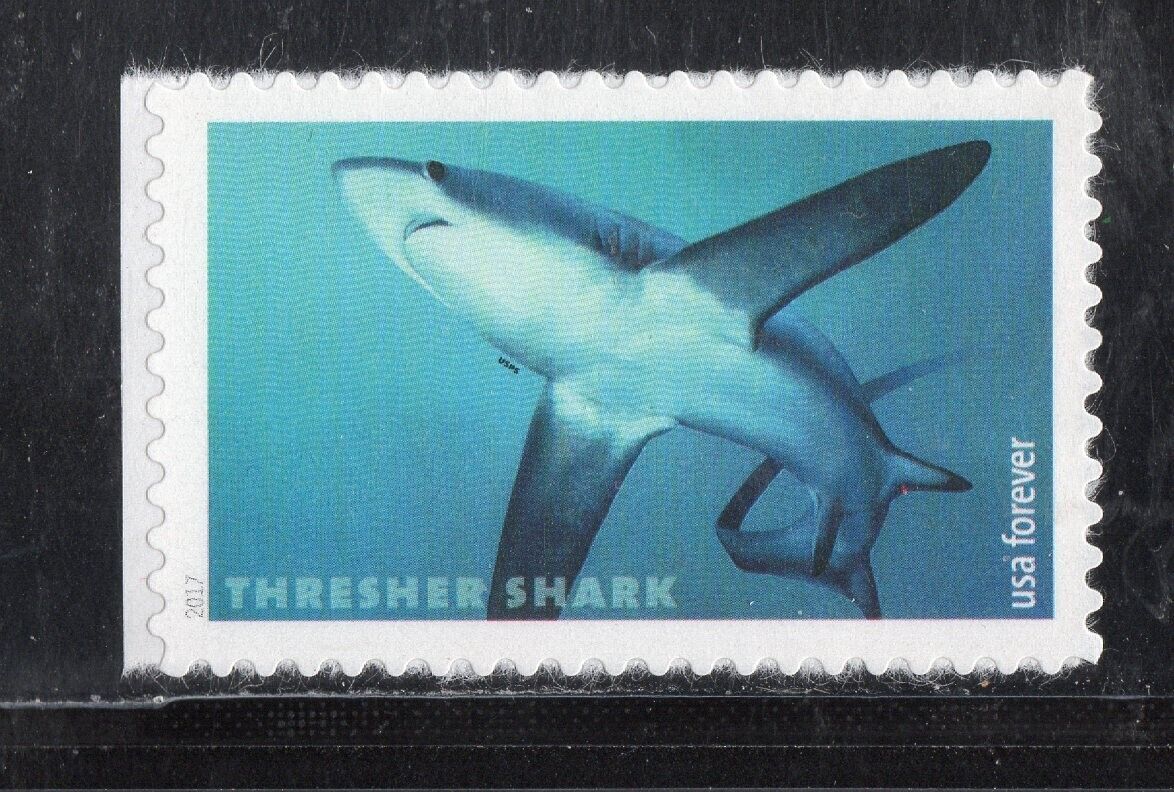 5225 * THRESHER SHARK * U.S. Postage Stamp MNH * | United States ...