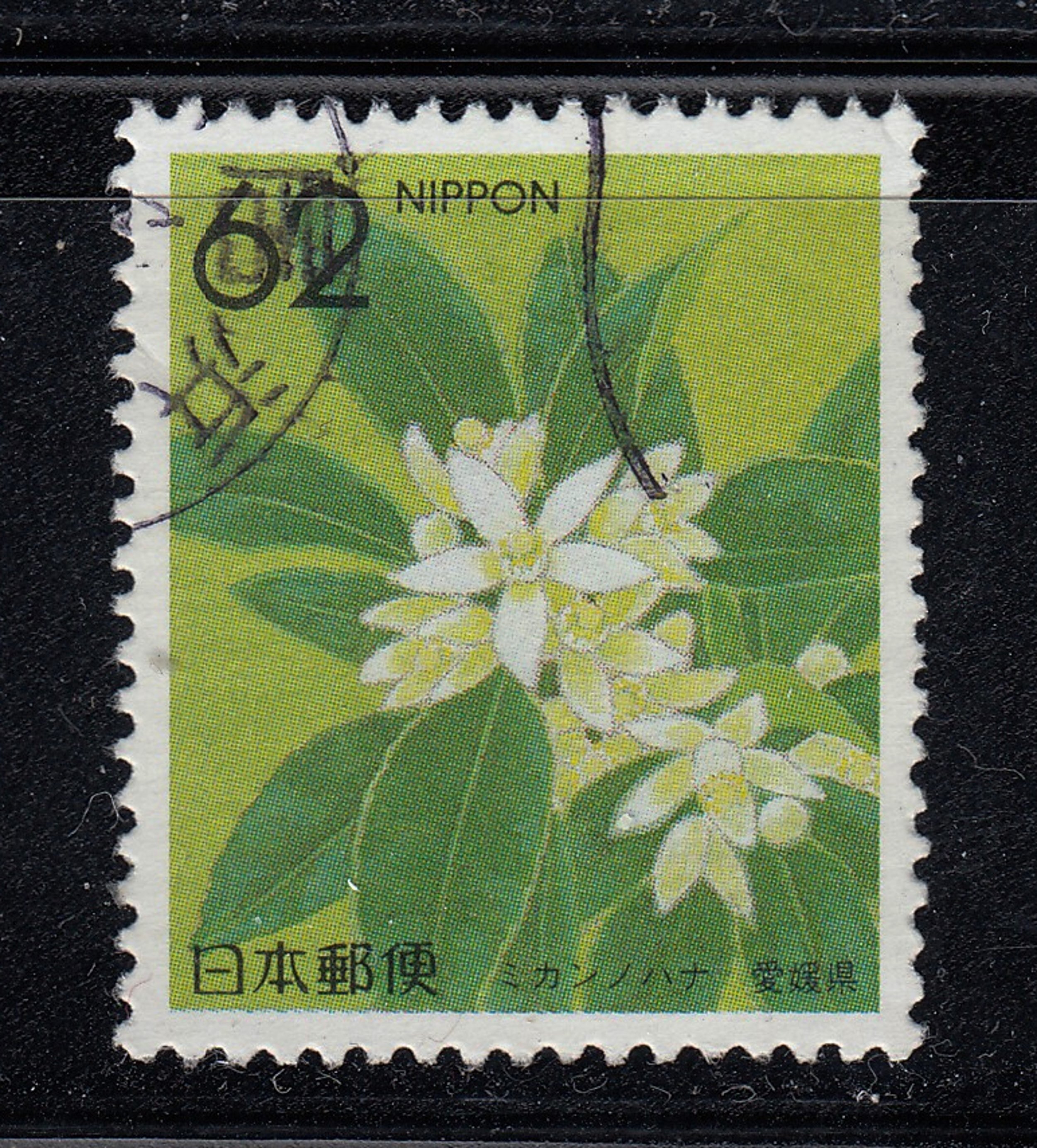 Japan 1990 SC# Z60 Sakura R60 Prefecture Mandarin Orange Blossom( Ehime ...