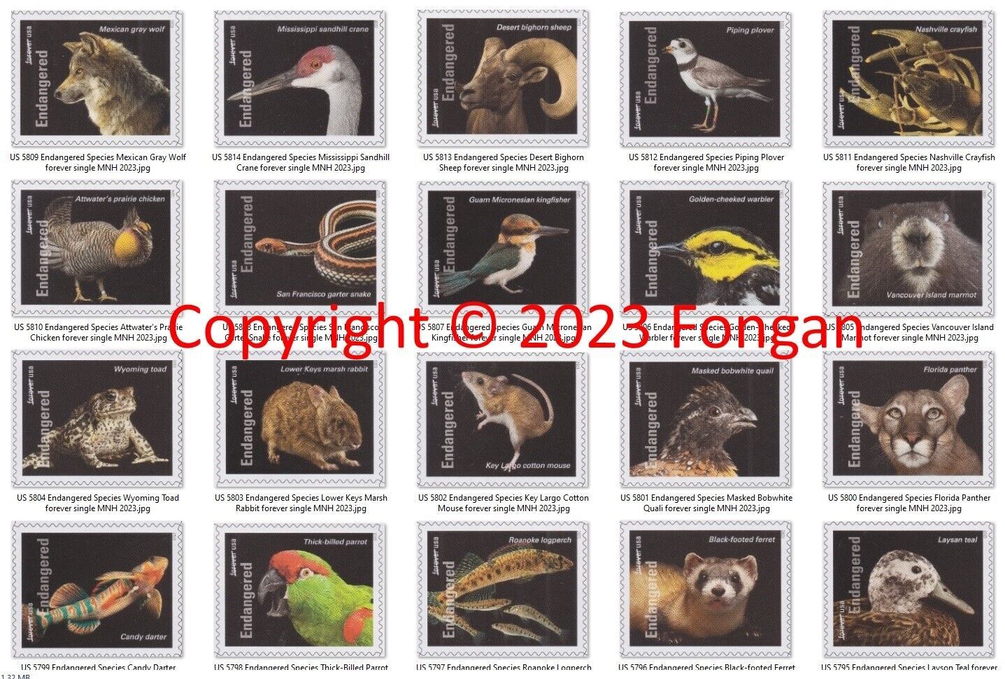 US 5795-5814 Endangered Species forever set (20 single stamps) MNH 2023 ...