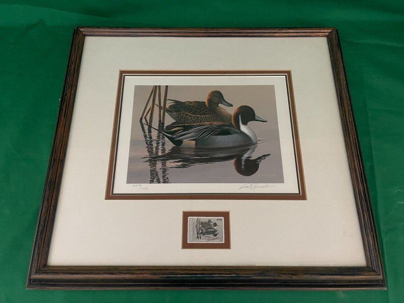 1983 RW50 Federal Duck Stamp Print - Pintails - by Phil Scholer ...