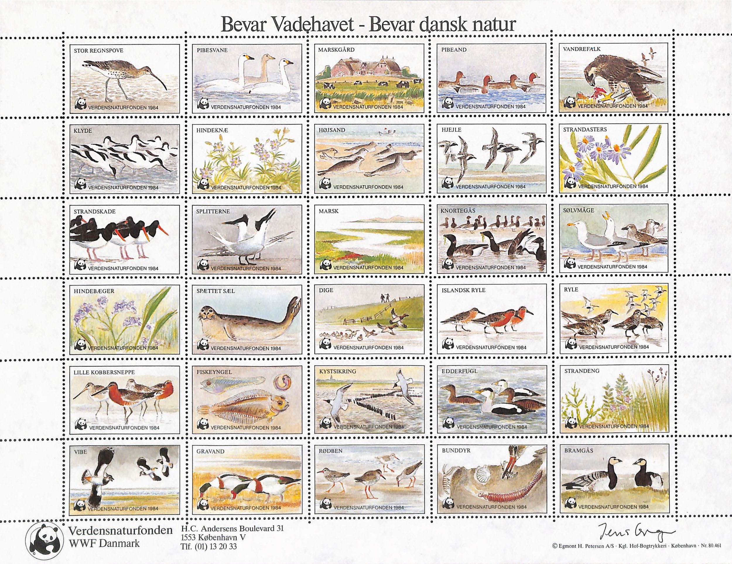 Denmark Danmark WWF Poster stamps seals Protected Wildlife 1984 ...