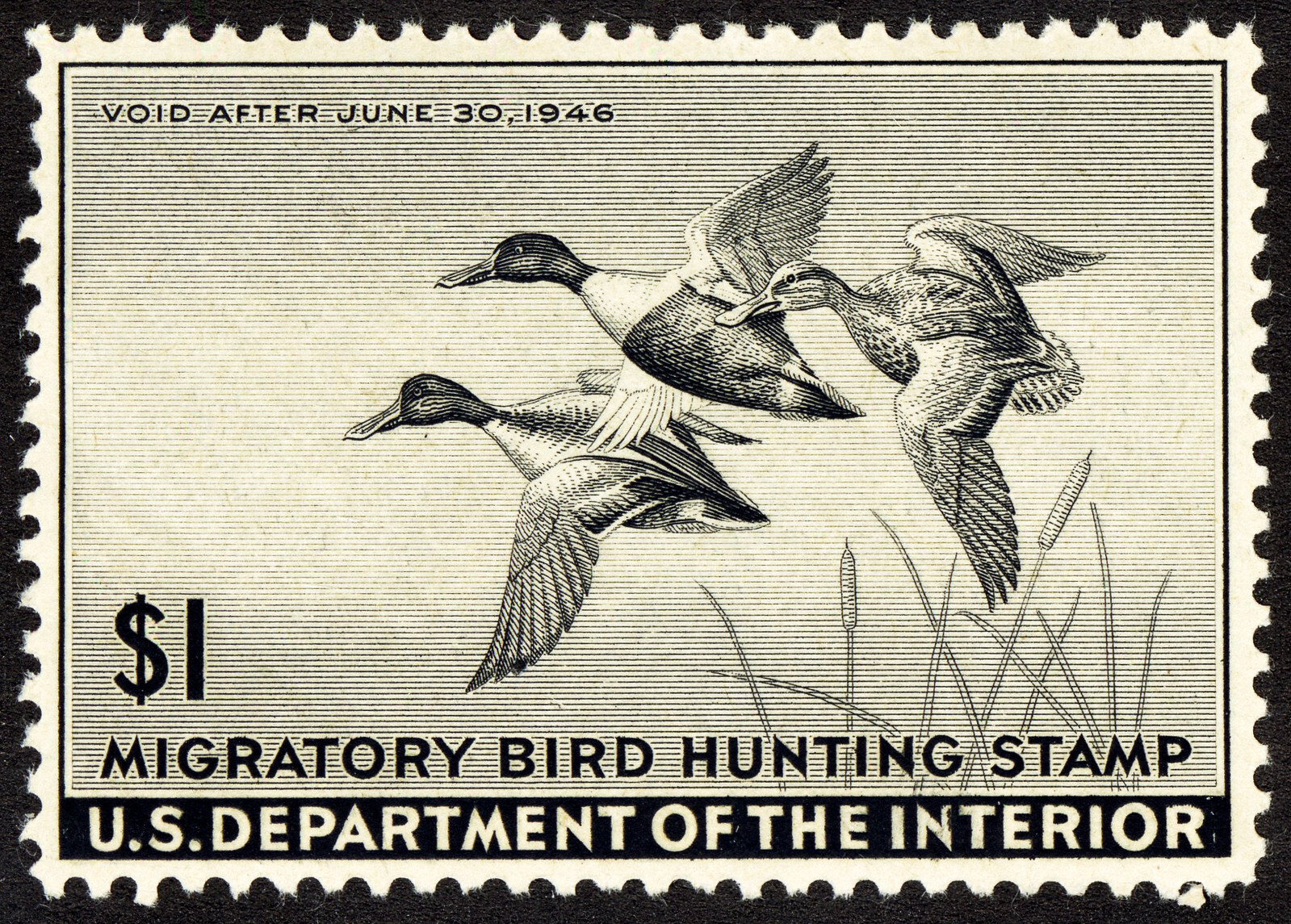 US Stamps # RW12 MNH Superb Duck Gem | United States, Duck Stamps ...