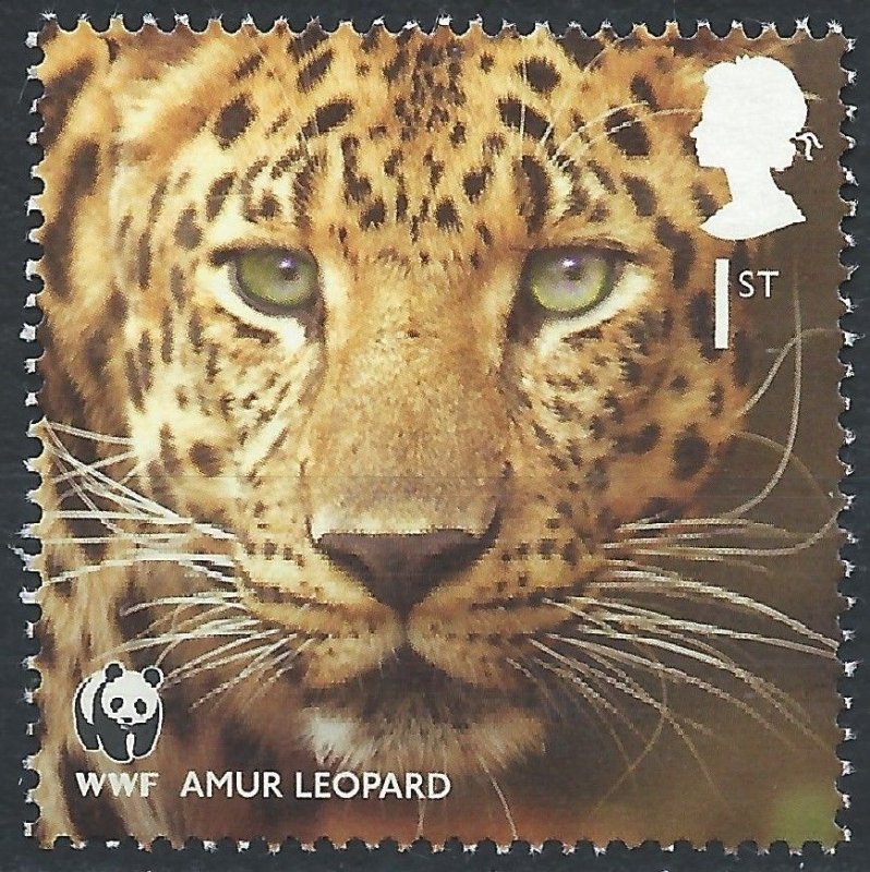 Great Britain 2011 - 1st - WWF (Amur Leopard) - SG3166 used | Great ...