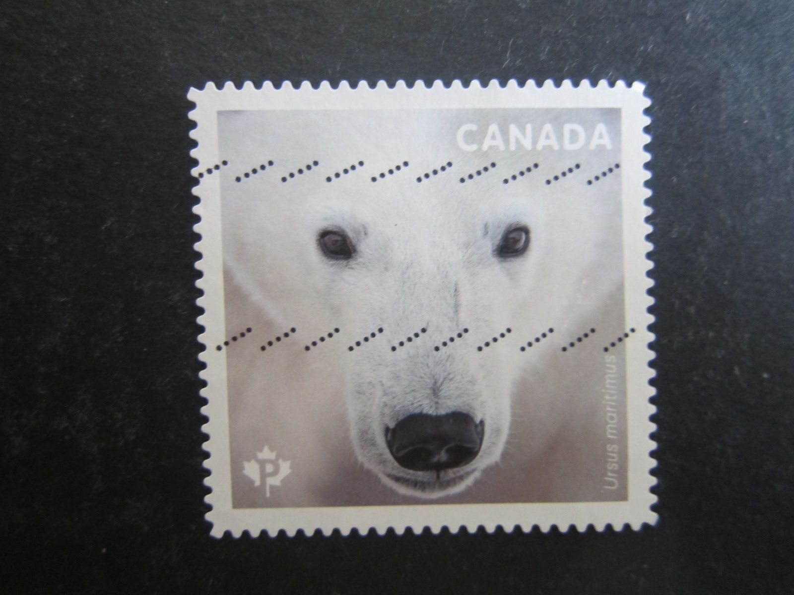 Canada #3192 Bears Nice stamps {ca1431} | Canada, General Issue Stamp ...
