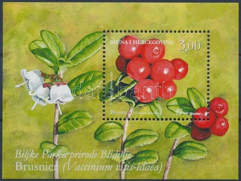 Bosnia Herzegovina Croatian post Mostar stamp Flower block 2007 MNH ...