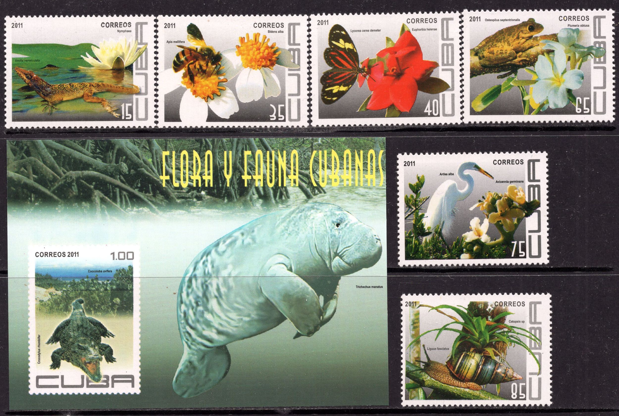 Cuba 2011 - Flora - Fauna - Bee - Snail - Frog - MNH Set + S/S ...