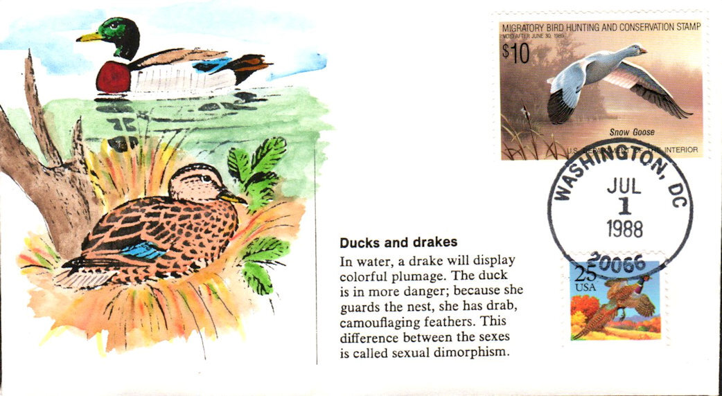 #RW55 Snow Goose Meissner FDC | United States, Duck Stamps - Federal ...